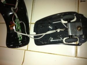 Possessed Mouse – Protowrxs.com